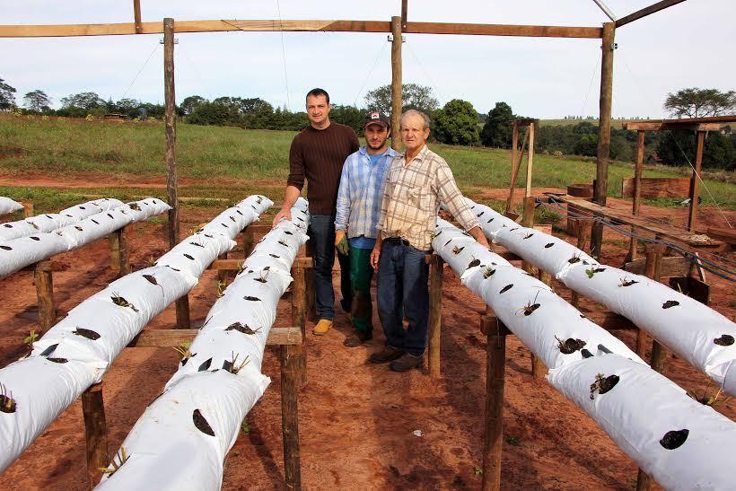 - Tribuna de Cianorte