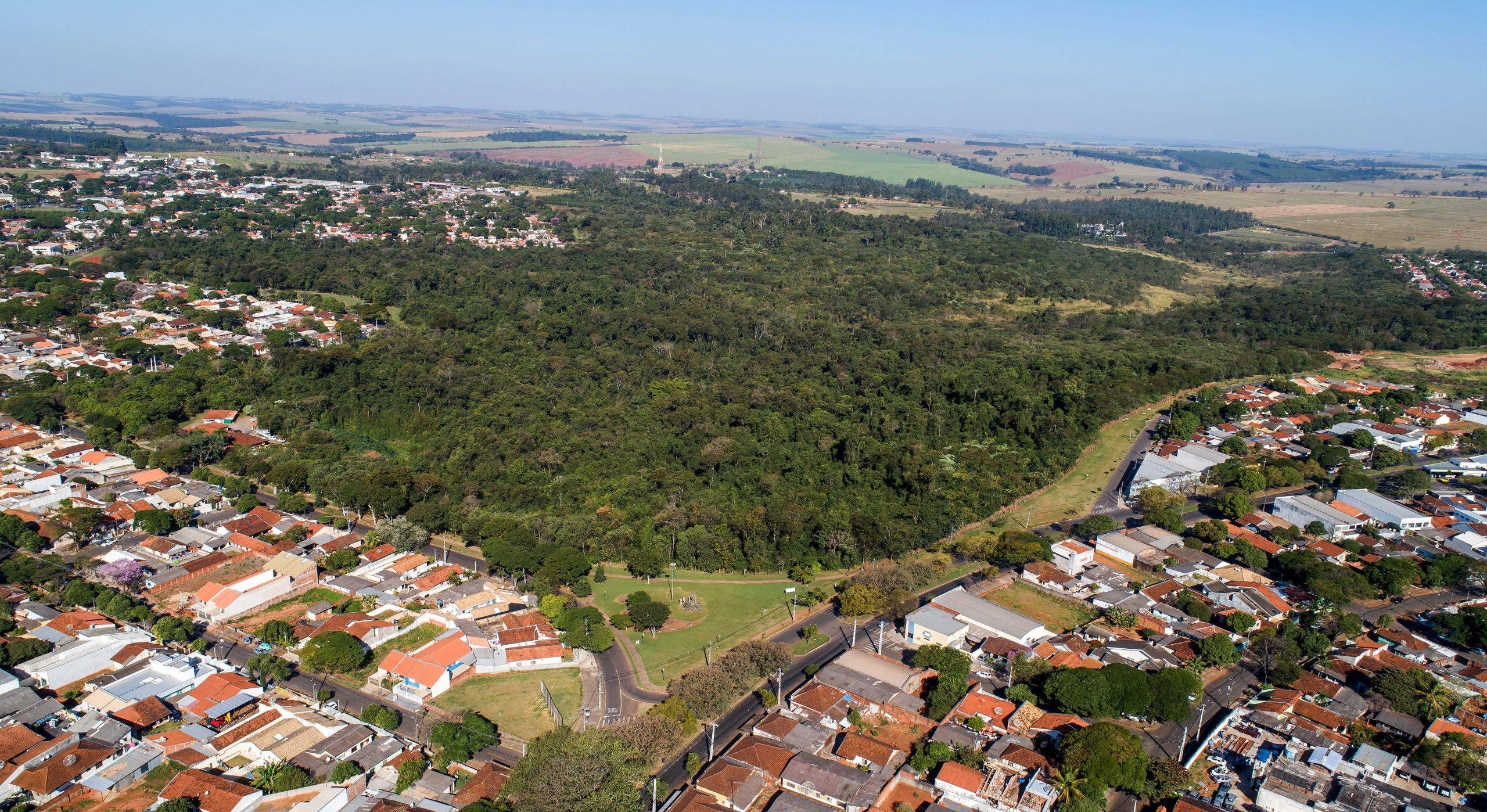 Cianorte recebe selo Cidade Árvore do Mundo pela ONU - Tribuna de Cianorte