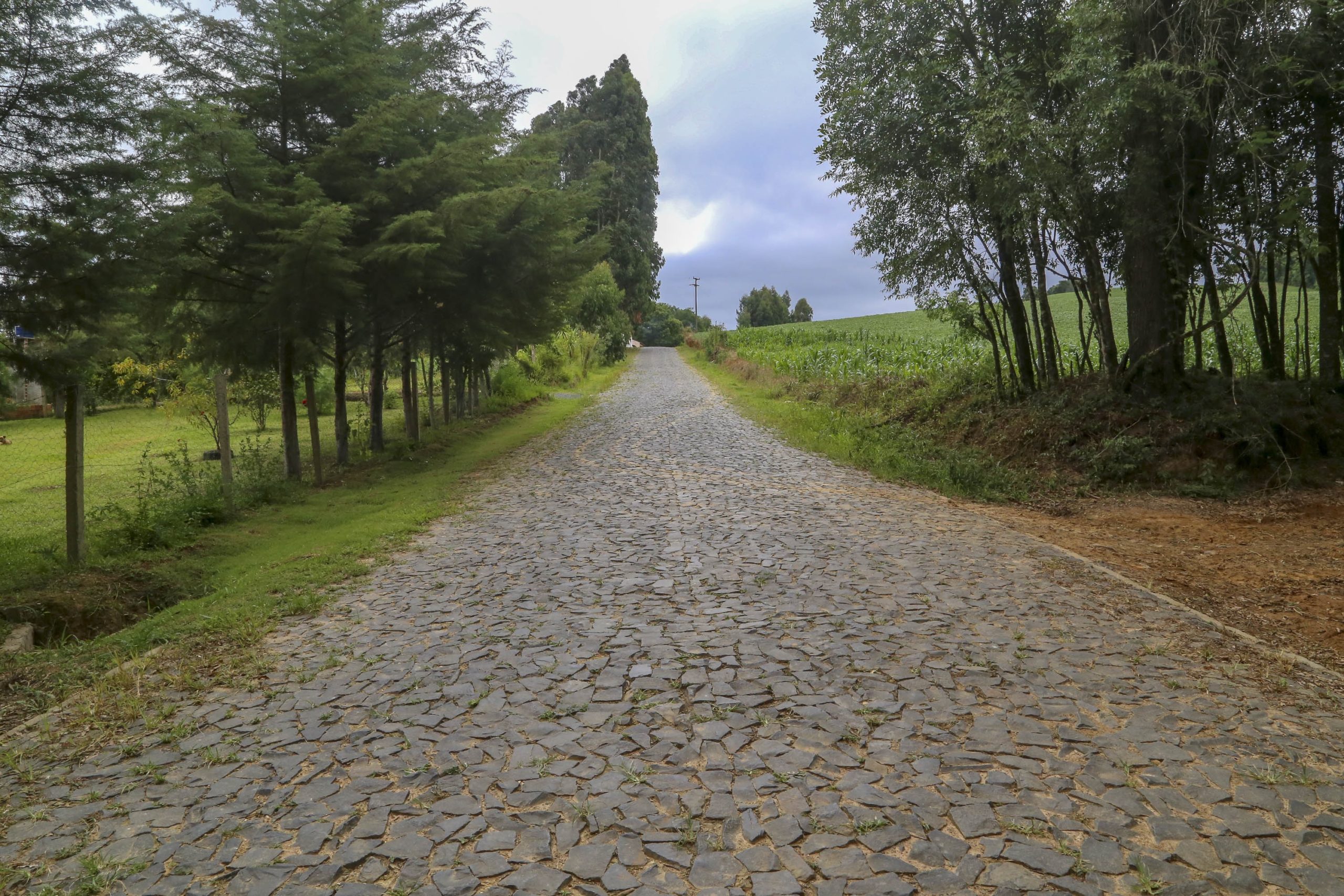 Estado investe na pavimentação de estrada rural que liga Nova Aliança ...
